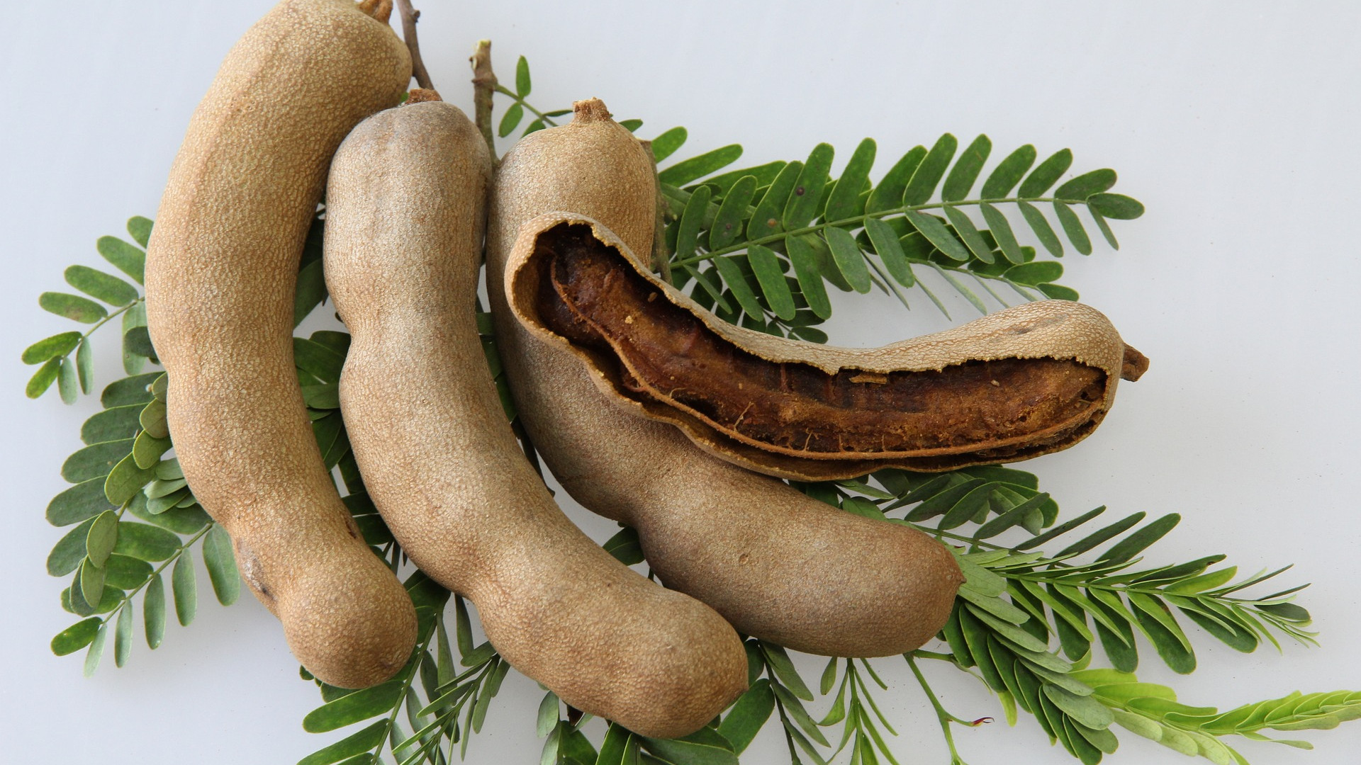 Tamarinde - Happy Lemuro